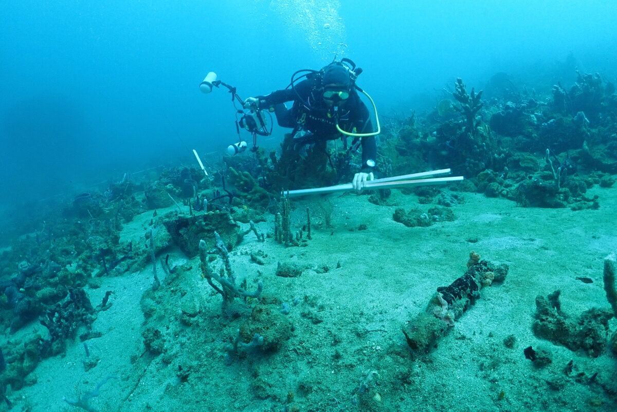 Return to the French Frigate, Junon - St Augustine Light House